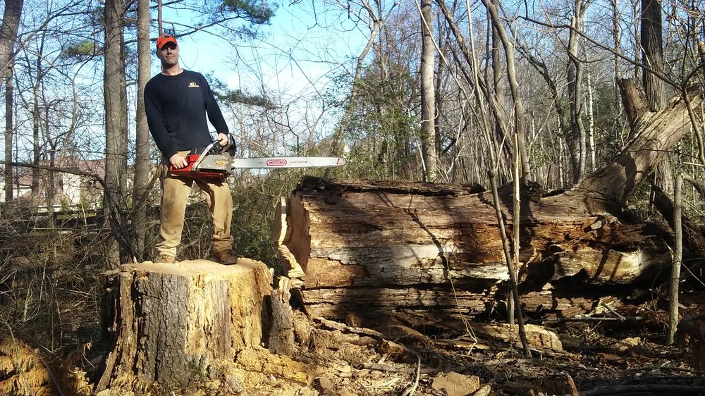 ASAH TREE SERVICE - 4834 Caboose Ln, Acworth, Georgia - Tree Services ...