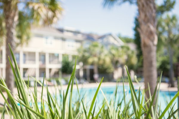 REDPOINT GAINESVILLE - Updated September 2024 - 43 Photos & 32 Reviews ...