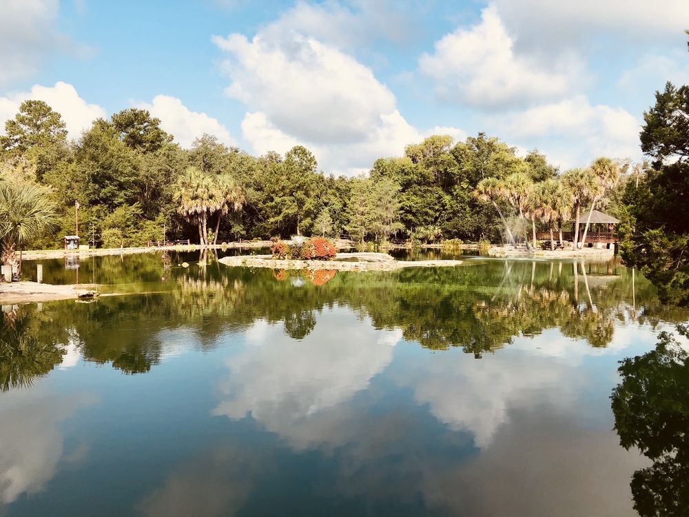 DEVIL’S DEN PREHISTORIC SPRING - Updated July 2024 - 581 Photos & 237 ...