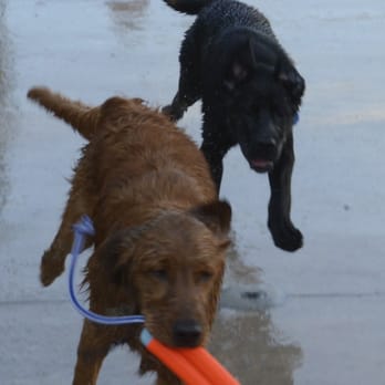 NATATORIUM POOL AND HYDROTUBE - Updated December 2025 - 17 Photos ...