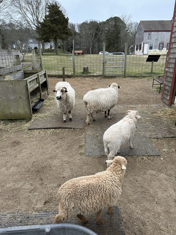 TAYLOR-BRAY FARM - Updated January 2026 - 13 Photos - 108 Bray Farm Rd ...