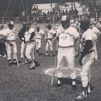 DUNEDIN PUBLIC LIBRARY - Updated September 2025 - 18 Photos & 16 ...