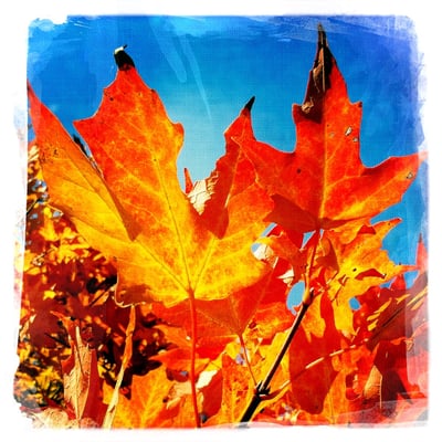 MILL HOLLOW VERMILION RIVER RESERVATION - Updated September 2025 - 30 ...