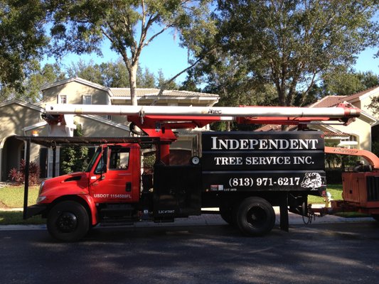 INDEPENDENT TREE SERVICE - Updated December 2025 - 20 Photos & 28 ...