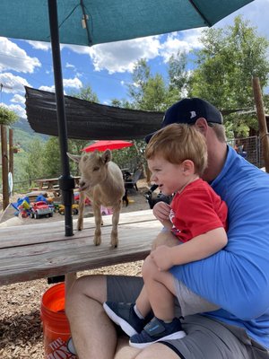 VAIL STABLES - Updated December 2025 - 202 Photos & 150 Reviews - 915A ...