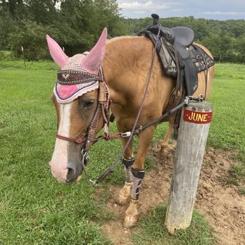 DOUBLE J STABLES AND HORSEMAN’S CAMPGROUND - Updated June 2024 - 55 ...