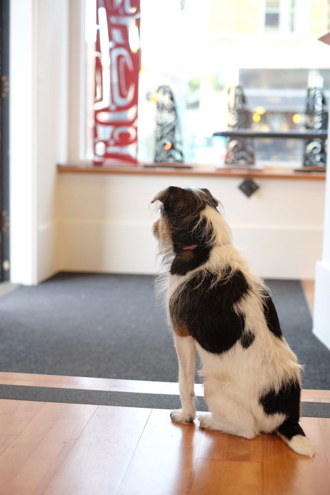 STONINGTON GALLERY - Updated November 2024 - 41 Photos - 125 S Jackson ...