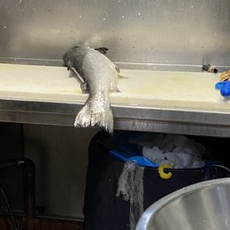 LIGHTHOUSE FISH MARKET & RESTAURANT - Updated May 2025 - 313 Photos ...