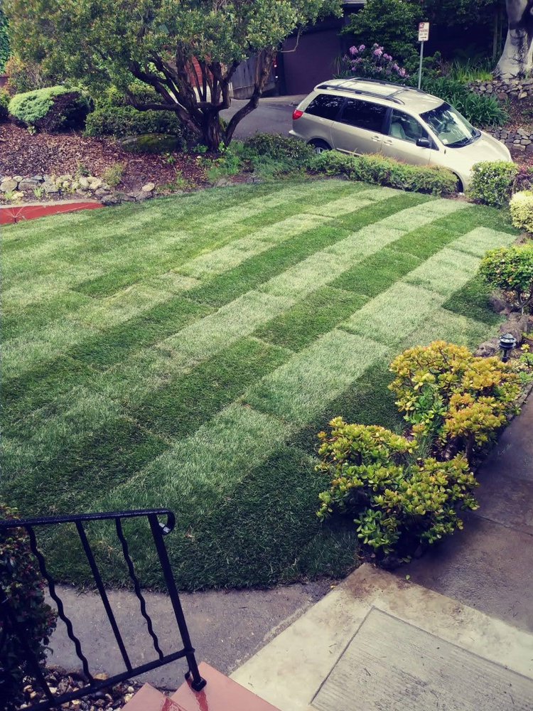 SERGIO LANDSCAPING CONTRACTOR - Updated February 2026 - 38 Photos ...
