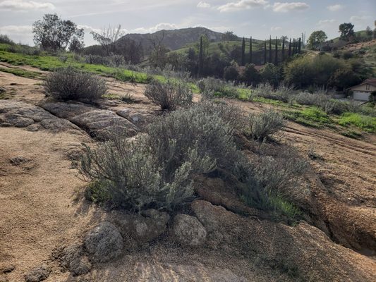 CHALLEN HILL PARK - 28 Photos - Hiking - Challen Ave, Riverside, CA - Yelp