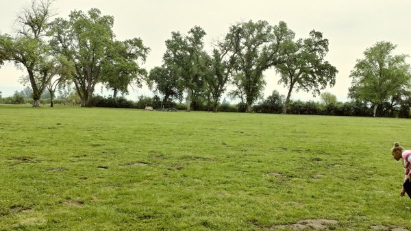 BURRIS PARK - Updated December 2025 - 6500 Clinton Ave, Kingsburg ...