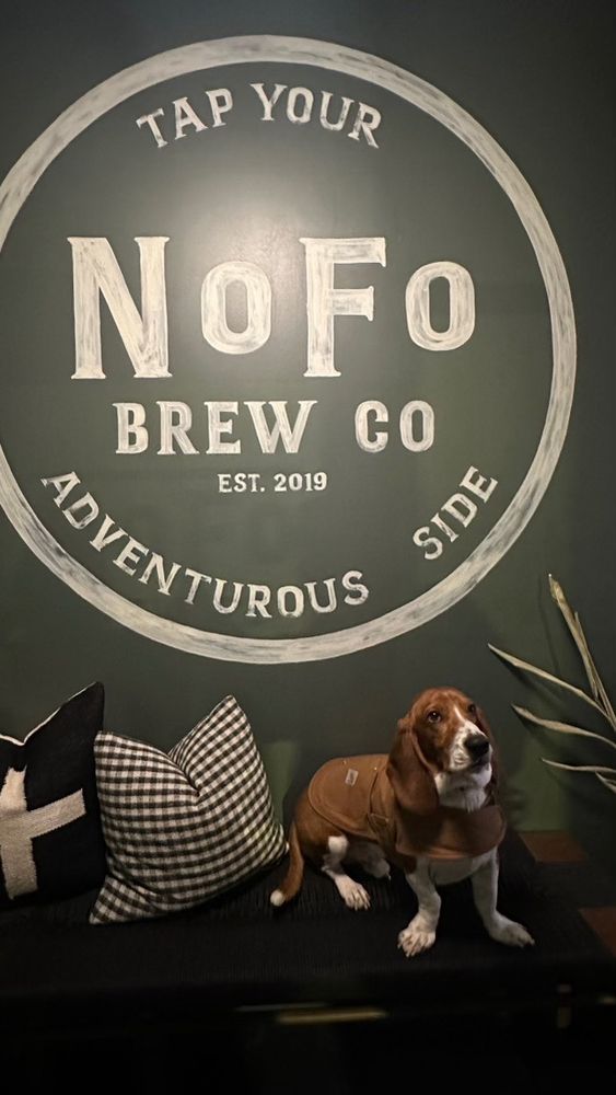 NOFO BREW - GAINESVILLE - Updated July 2024 - 434 High St SE ...