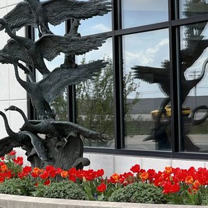 OSMS FOX VALLEY - Updated October 2025 - 1205 W American Dr, Neenah, Wisconsin - Orthopedists ...