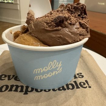 MOLLY MOON’S HOMEMADE ICE CREAM - Updated July 2025 - 2334 Photos ...