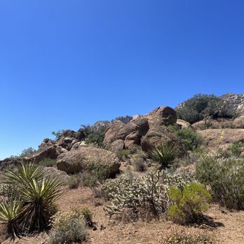 SPRING MOUNTAIN RANCH STATE PARK - Updated May 2025 - 1093 Photos & 149 ...