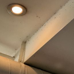 TONIC - Updated October 2025 - 566 Photos & 976 Reviews - 2036 G St NW ...