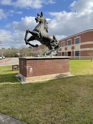 CLEAR SPRINGS HIGH SCHOOL - Updated August 2025 - 11 Photos - 501 ...