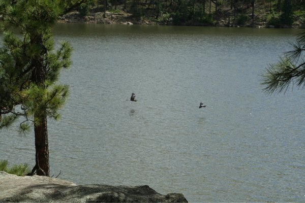 MORPHY LAKE STATE PARK - Updated July 2025 - 11 Photos - Mora, New ...