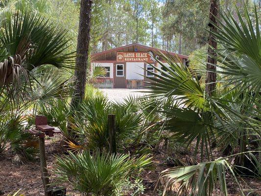 GATOR SHACK - Updated August 2025 - 41 Photos & 37 Reviews - 8502 FL 31 ...