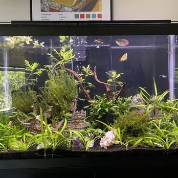 THE FISH PLACE - Updated November 2025 - 129 Photos & 84 Reviews - 141 ...