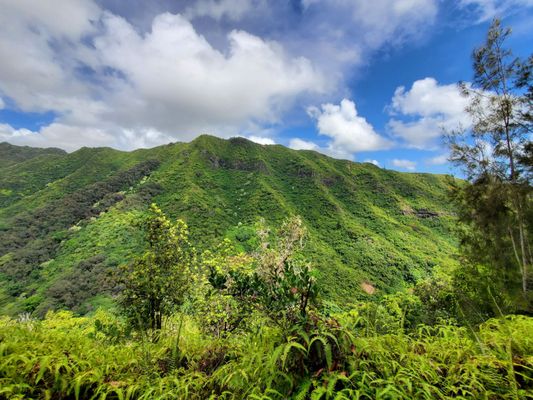 HAU’ULA LOOP TRAIL - Updated November 2024 - 137 Photos & 23 Reviews ...