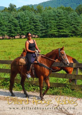 DILLARD HOUSE STABLES - Updated August 2024 - 73 Photos & 24 Reviews - 1158 Franklin St, Dillard ...