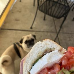 CAPUTO’S ON 15TH - Updated August 2024 - 120 Photos & 137 Reviews ...