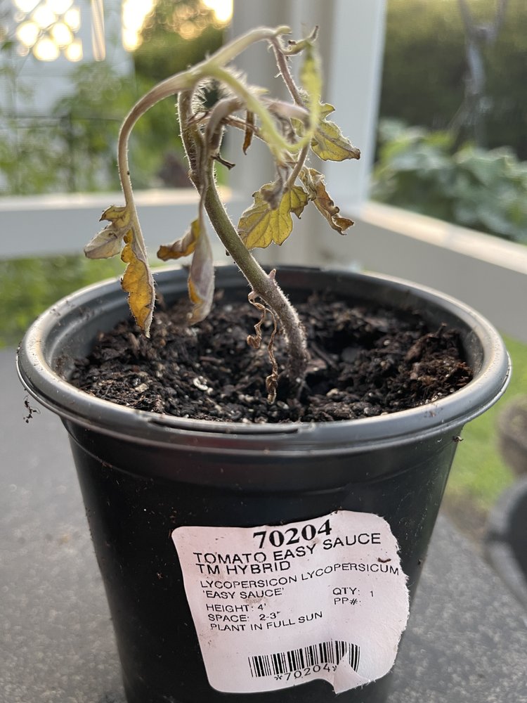 GURNEY’S SEED & NURSERY - Updated January 2026 - 47 Photos & 304 ...