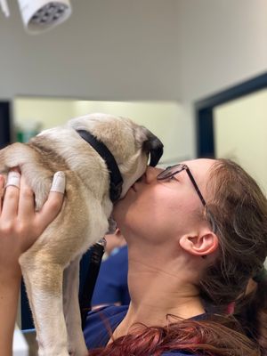 DARLINGTON VETERINARY HOSPITAL - Updated September 2025 - 58 Photos ...