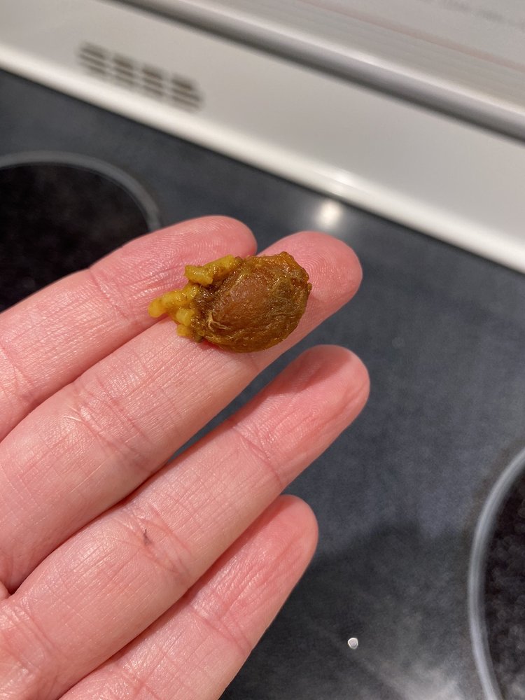 AMAYA EXPRESS - Updated July 2024 - 5100 Erin Mills Parkway ...