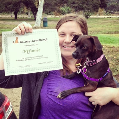 SIT STAY GOOD DOG - Updated April 2025 - 10 Photos & 14 Reviews ...