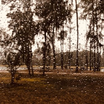 BLYTHE ISLAND REGIONAL PARK - Updated October 2025 - 40 Photos & 18 ...