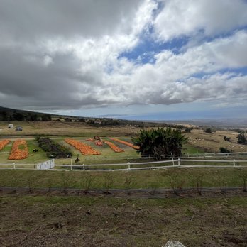 KULA COUNTRY FARMS - Updated December 2024 - 990 Photos & 127 Reviews ...