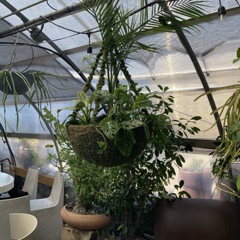 THE GREENHOUSE BAR - Updated September 2024 - 368 Photos & 309 Reviews ...
