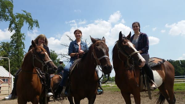 PINE RIVER STABLES - Updated October 2025 - 22 Photos & 22 Reviews ...