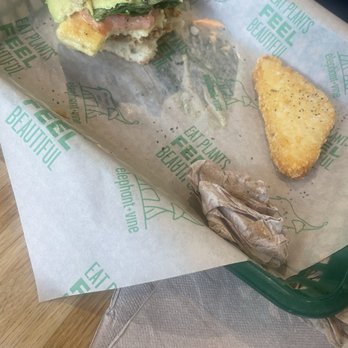 ELEPHANT + VINE - Updated November 2024 - 90 Photos & 60 Reviews - 2315 ...