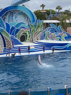 SEAWORLD - 63 Photos & 85 Reviews - 12 Month Pass Information, Los ...