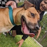 COACHLAND RV PARK - 52 Photos & 86 Reviews - 10100 Pioneer Trl, Nevada ...