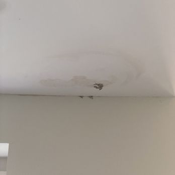 ARTERIX PEST CONTROL - Updated December 2025 - 36 Photos & 223 Reviews ...