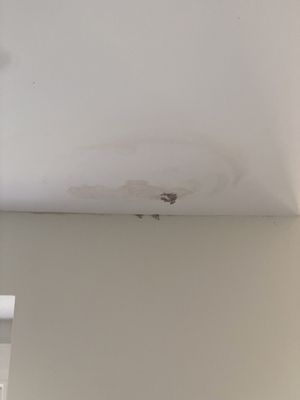 ARTERIX PEST CONTROL - Updated September 2025 - 34 Photos & 213 Reviews ...