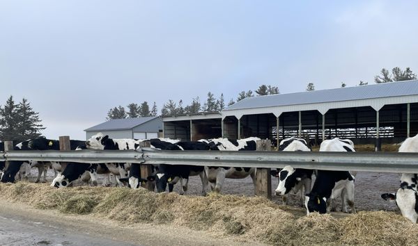 REDHEAD CREAMERY - Updated January 2026 - 49 Photos & 17 Reviews ...