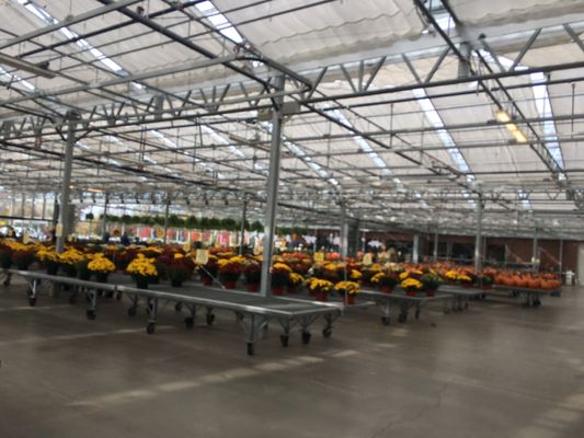 NIAGARA COUNTY PRODUCE - Updated November 2025 - 133 Photos & 76 ...