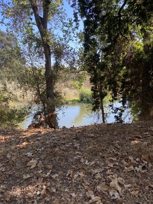 MCCONNELL STATE RECREATION AREA - Updated September 2025 - 34 Photos ...