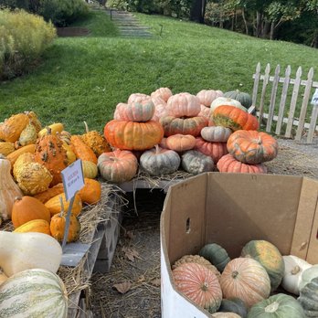 ALLANDALE FARM - Updated October 2025 - 113 Photos & 71 Reviews - 259 ...