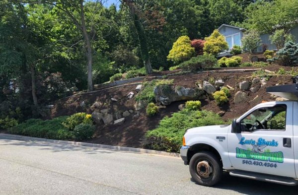 LAWN SHARKS LANDSCAPING - Updated December 2025 - 56 Photos - 57 ...