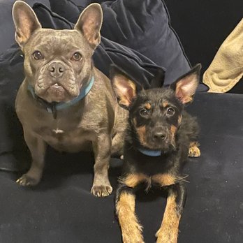 AUSTIN PET RANCH - Updated December 2025 - 12 Photos & 67 Reviews ...