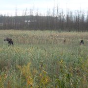 ALBIAN SANDS VILLAGE - 12 Photos - Fort McMurray, AB, Canada - Yelp