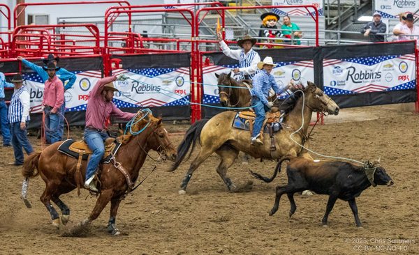HUMBLE RODEO & BBQ COOKOFF - Updated February 2026 - 19 Photos - 8233 ...