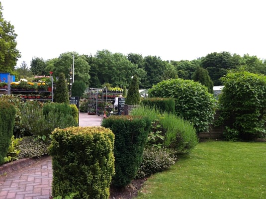 GOSFORTH PARK GARDEN CENTRE - Updated July 2025 - High Gosforth Park, T ...