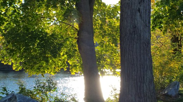 ALLENTOWN CANAL PARK - Updated January 2026 - 16 Photos - South Albert ...